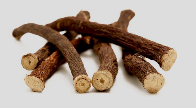 Manjistha Extract